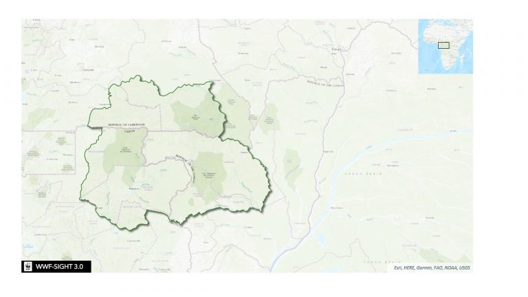 TRIDOM landscape - Momo4Climate