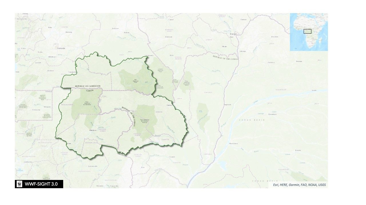 TRIDOM landscape - Momo4Climate